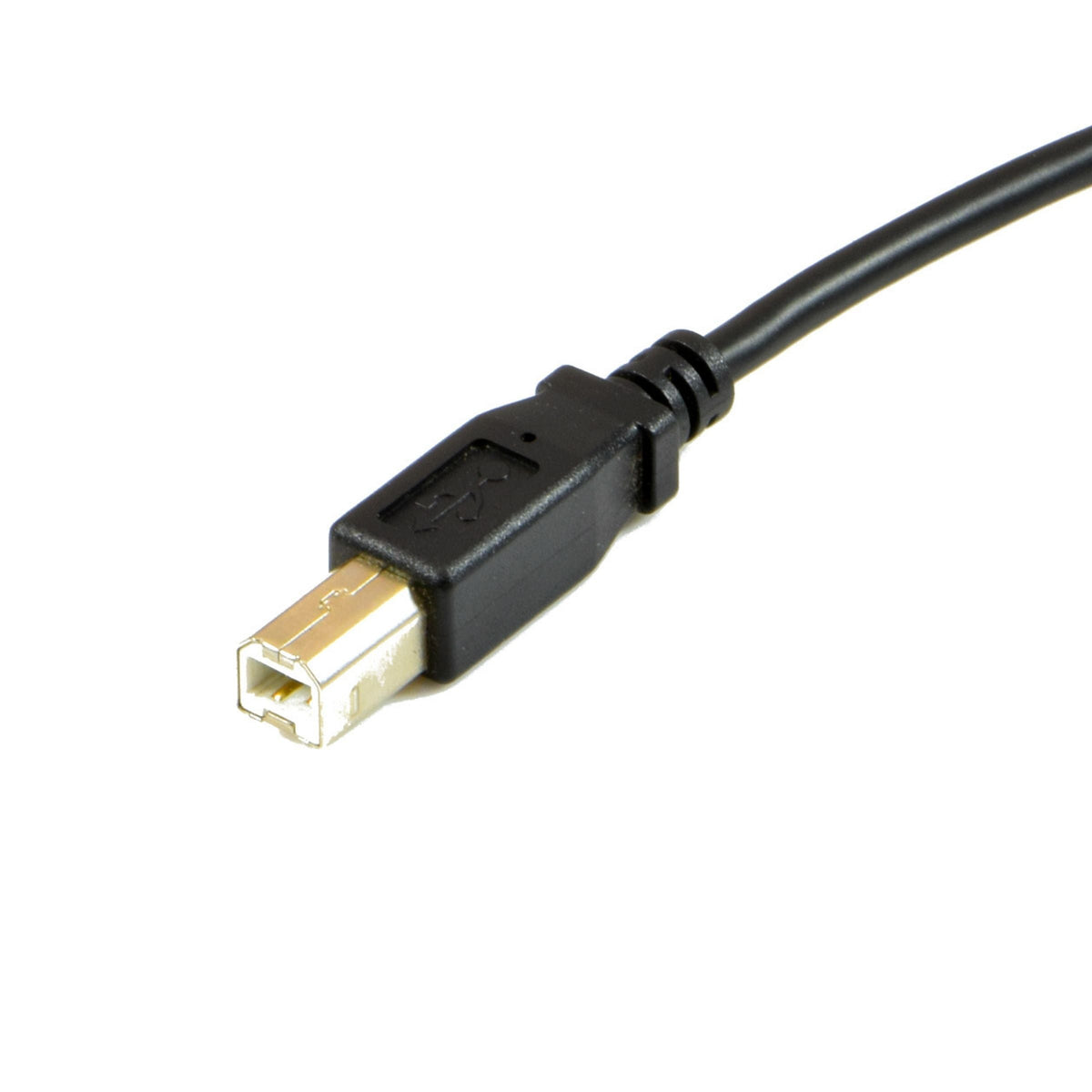 USB-B Cables – Winston